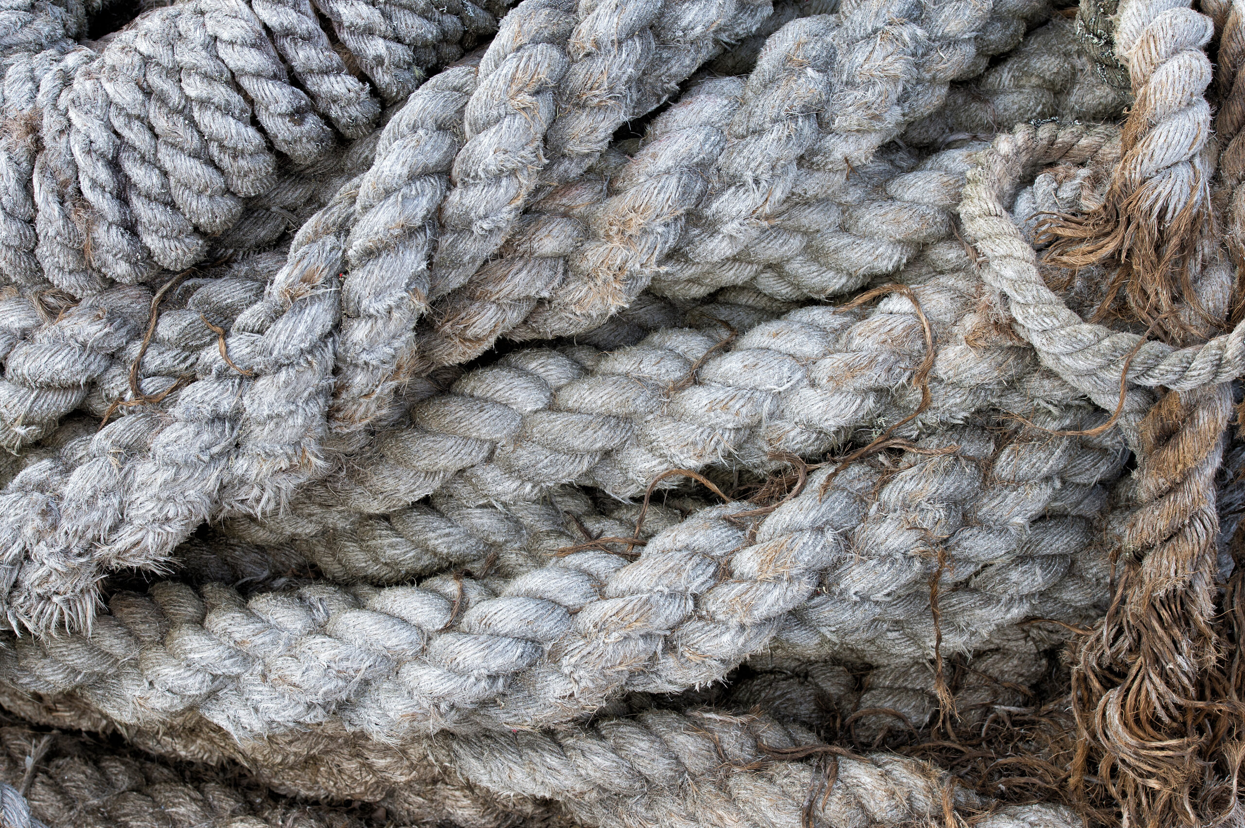 Parish Culture Essentials: Active Discipleship - Amazing Parish